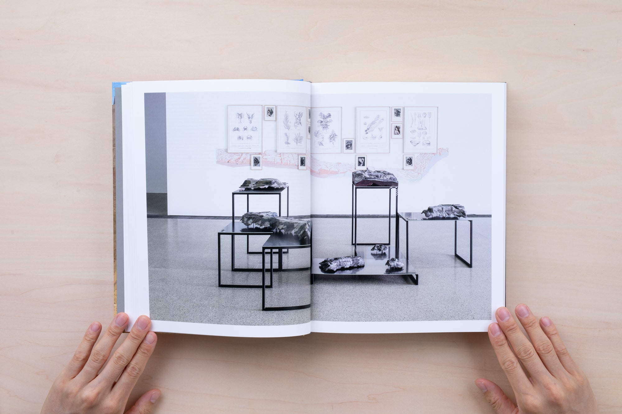 ANOTHER CONTINENT – IACK