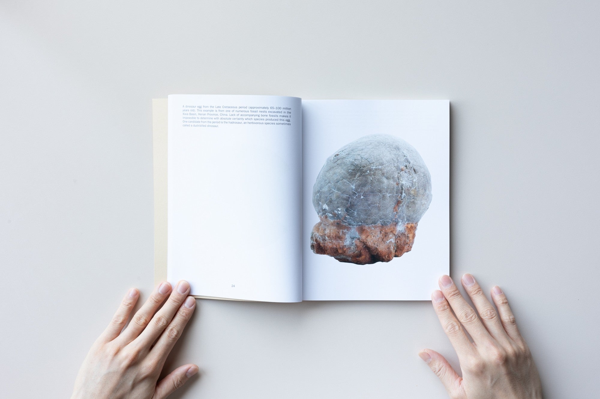 From the Archives of Peter Merlin, Aviation Archaeologist by Trevor Pa ...