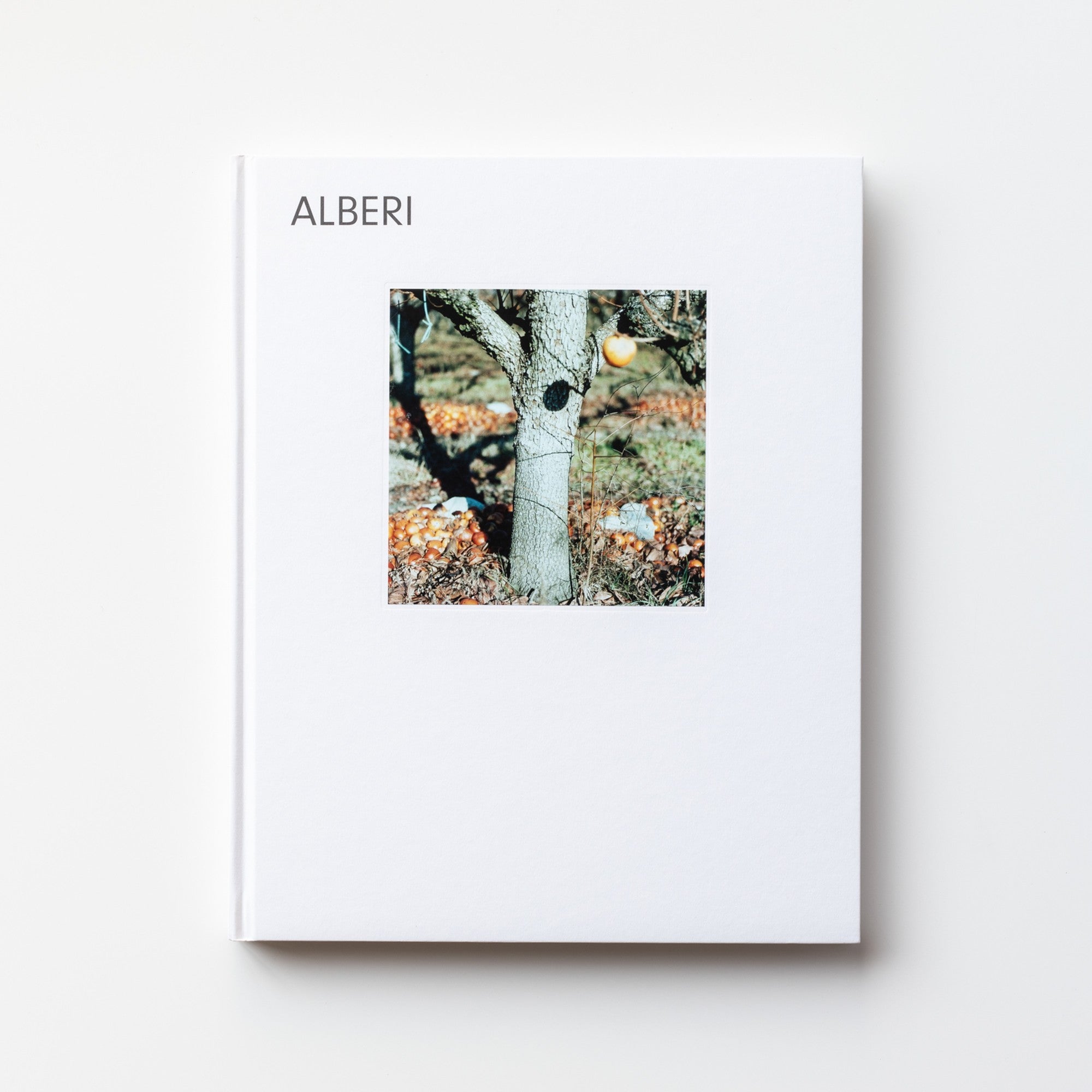 ALBERI by Guido Guidi & GF93 – IACK
